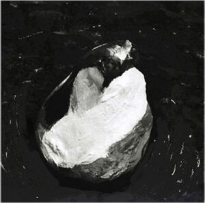 1. Trompe l’oeil – Bert Schutter