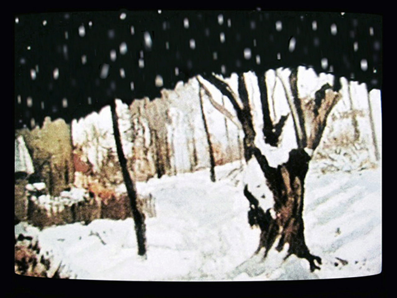 11. Neige à Louveciennes – Bert Schutter