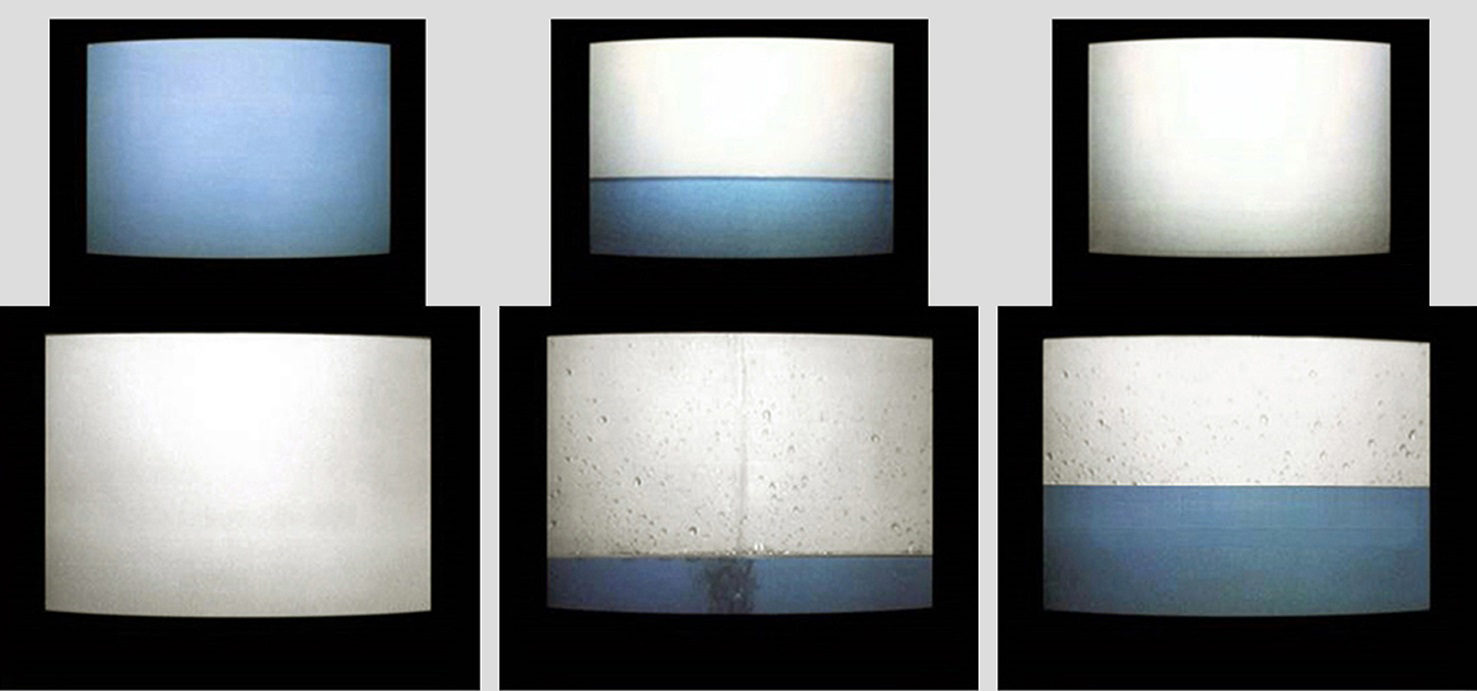 7. Related forms – Bert Schutter